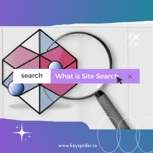 The Best Site Search Strategies to Improve Your User Growth - Keyspider Blogs | Blogs and ...